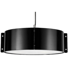 Baselite 6" Cylinder Series Pendant Light with Custom Finish and ...
